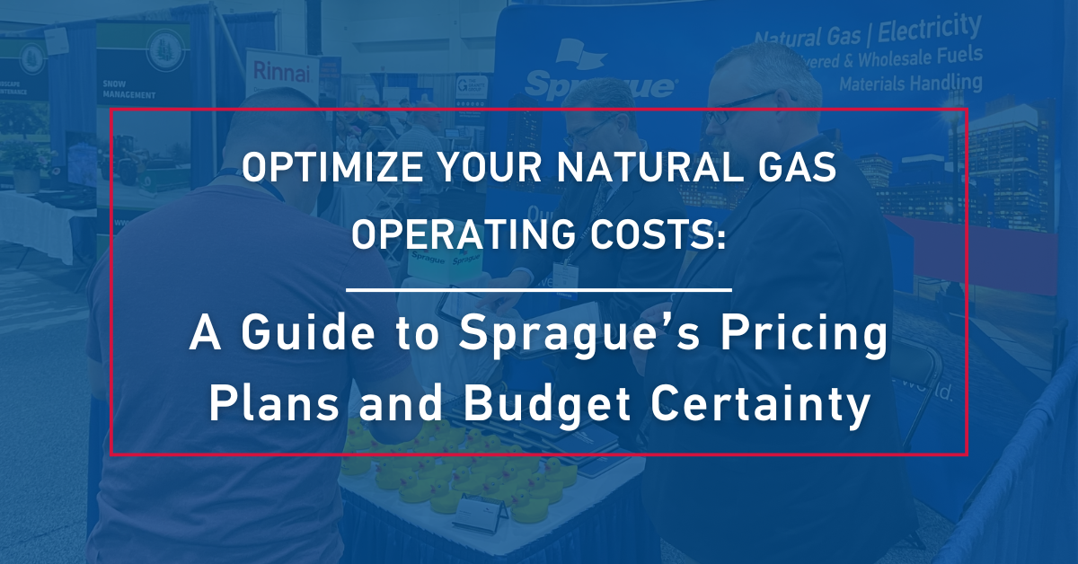 Business Costs Optimization: Sprague's Natural Gas Pricing Plans ...