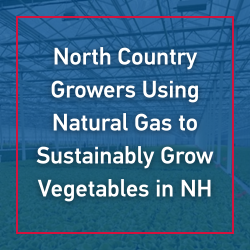 Natural Gas: Key to Efficient Greenhouse Production - Sprague Energy