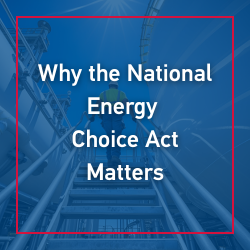 Energy Choice Act: Protecting Your Energy Options - Sprague Energy